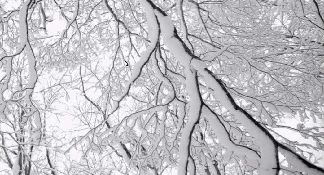 Chad Sayers in Skiers Journey Season 3 Trailer – G3 Genuine Guide Gear