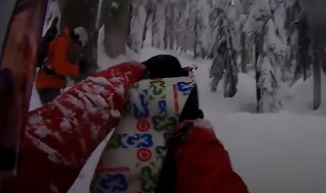 Deep Pow & Big Trees – G3 Genuine Guide Gear